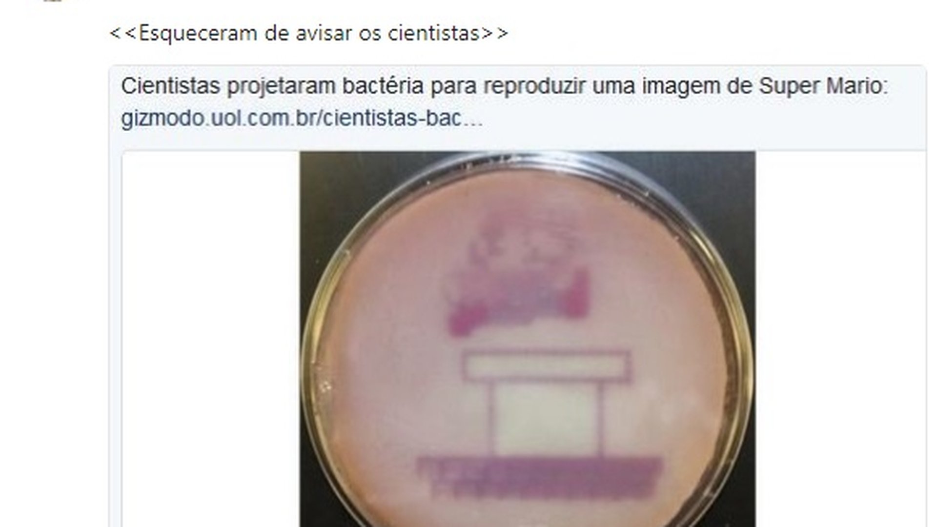 Memetrospectiva Os Melhores Memes Das Redes Sociais Brasileiras Em 2017 Mega Curioso