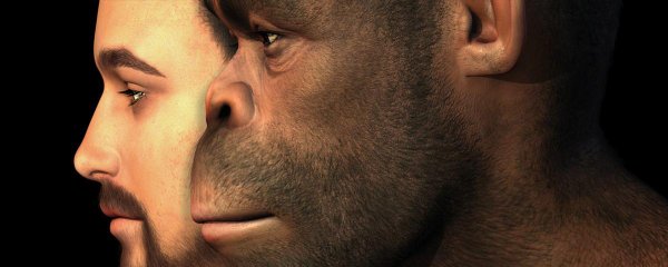 Qual Será A Aparência Dos Humanos Daqui A 1 Milhão De Anos Mega Curioso